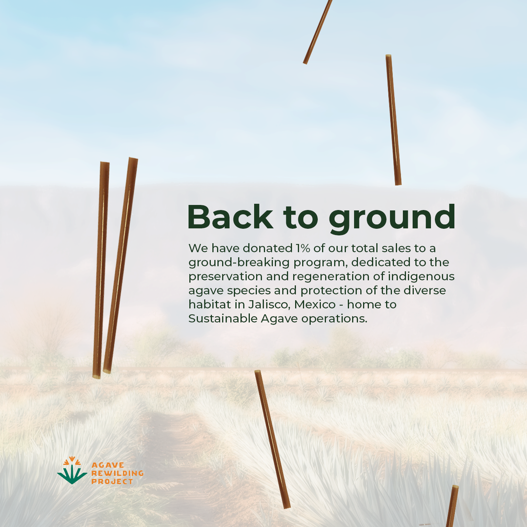Sustainable Agave-Based Straws | Sustainable Agave Company